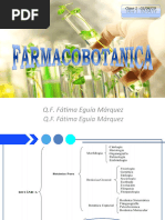 Atlas Anatomia Vegetal PDF | PDF | Hogar, jardinería y bricolaje