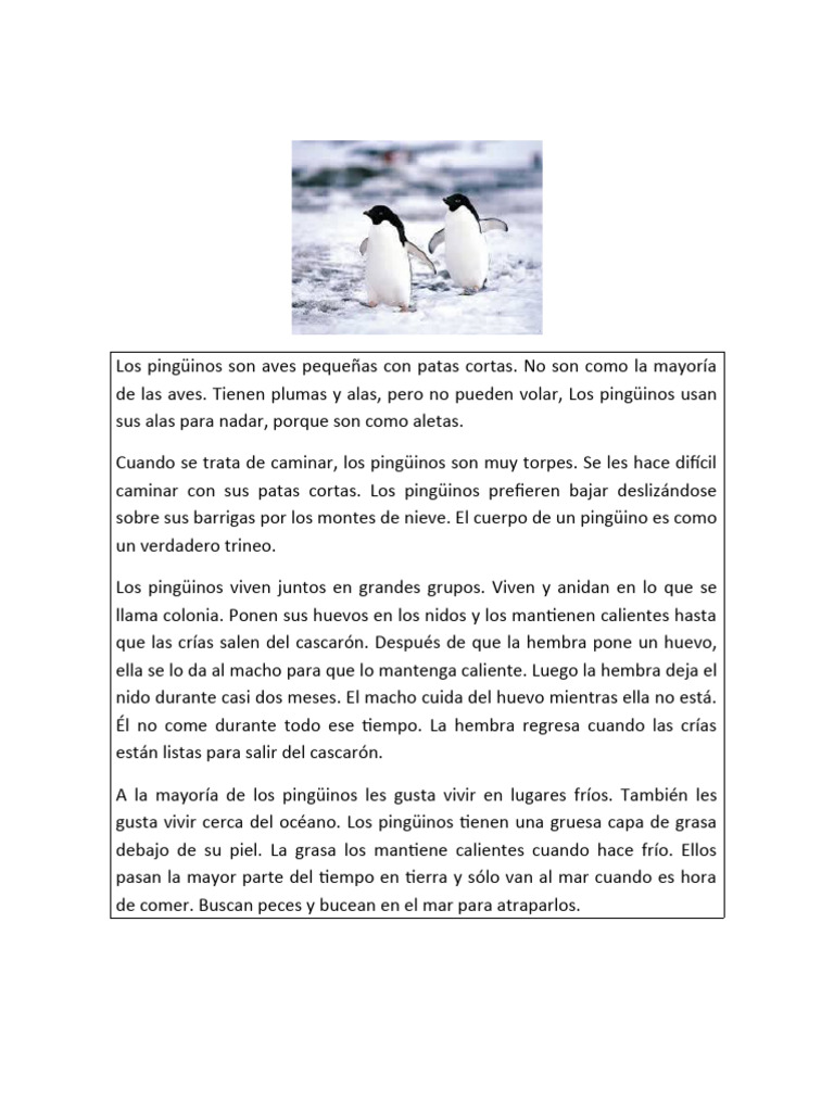 Texto de Los Pingüinos | PDF | Hogar y jardín