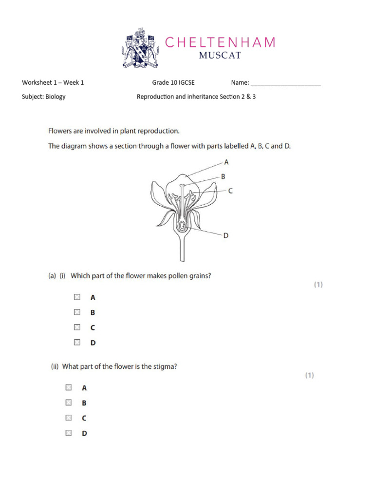 IGCSE Biology: Reproduction Worksheet | PDF | Wellness