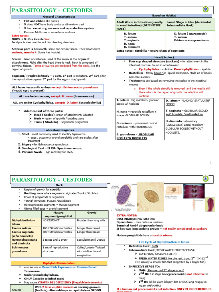 Parasitology Cestodes | PDF | Protostomes | Medical Specialties