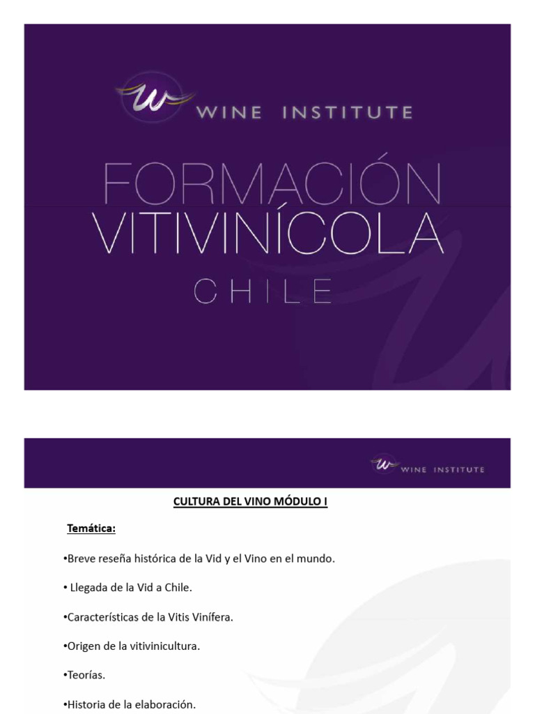 Historia Global del Vino | PDF | Vino | Vitis