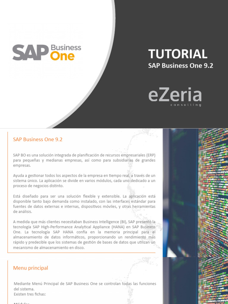 Guía de SAP Business One 9.2 para PYMES | PDF | Planificación de ...