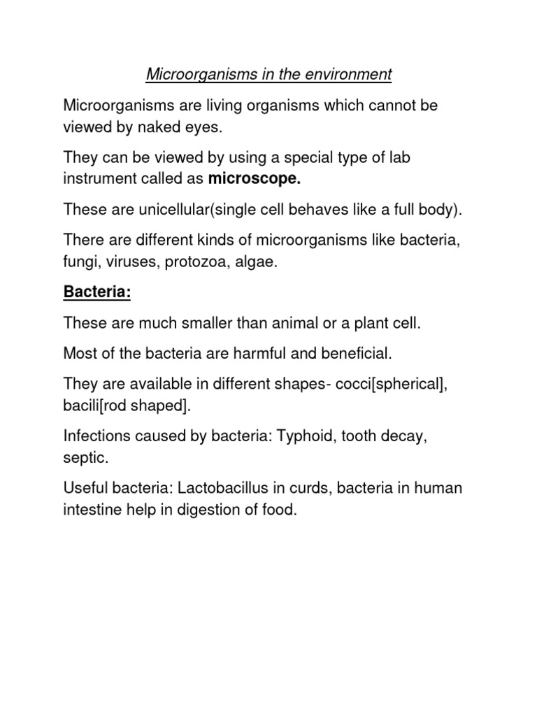 Role of Microorganisms in Ecosystems | PDF | Foods | Decomposition