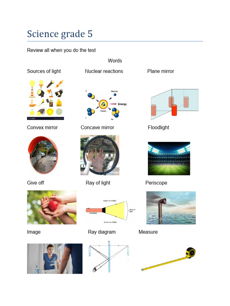 Science Grade 5 | PDF | Mirror | Light