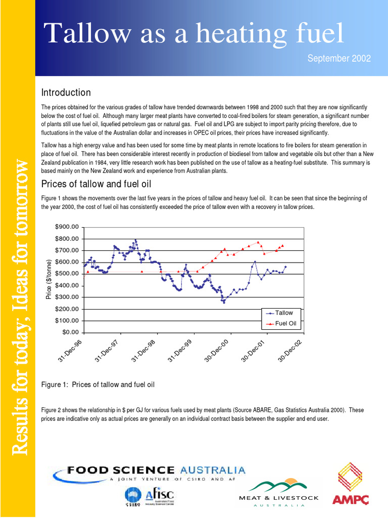 Tallow as an Alternative Heating Fuel | PDF | Fuel Oil | Fuels