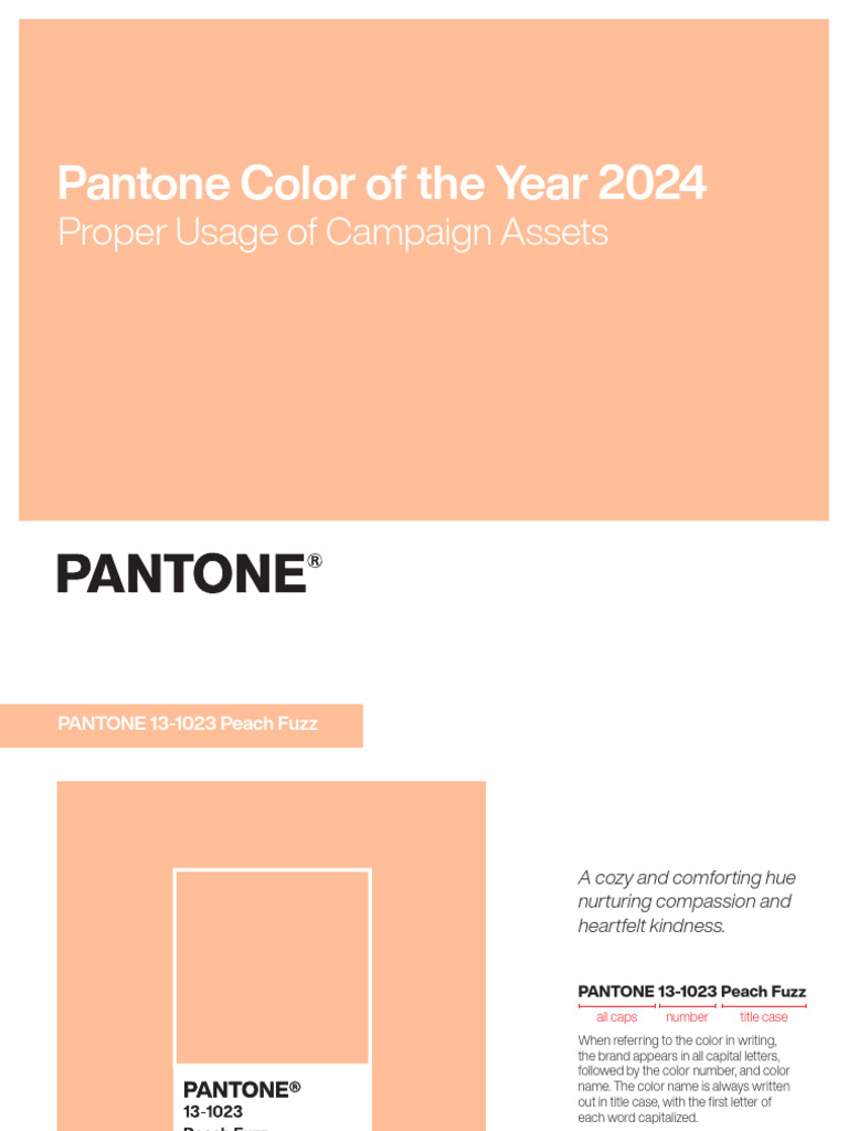 Pantone - Coy 2024 Logo Guidelines | PDF | Logos | Artistic Techniques