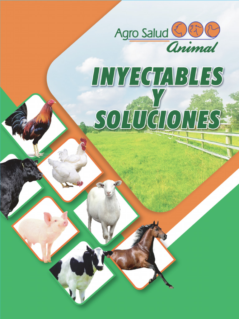 Catalogo Inyectables 2019 | PDF