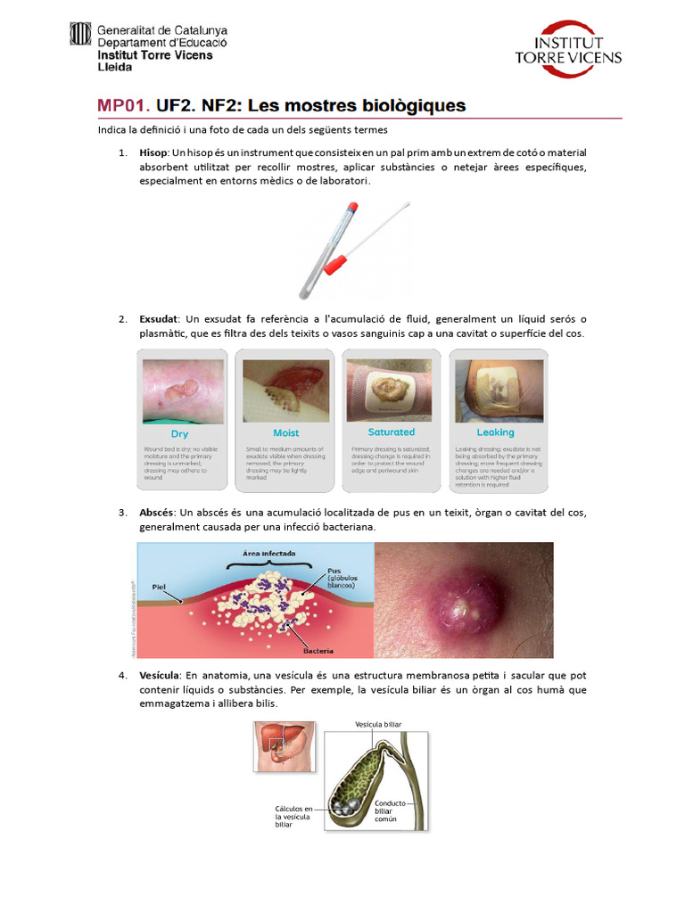 Act UF3. Les Mostres Biològiques 1 | PDF