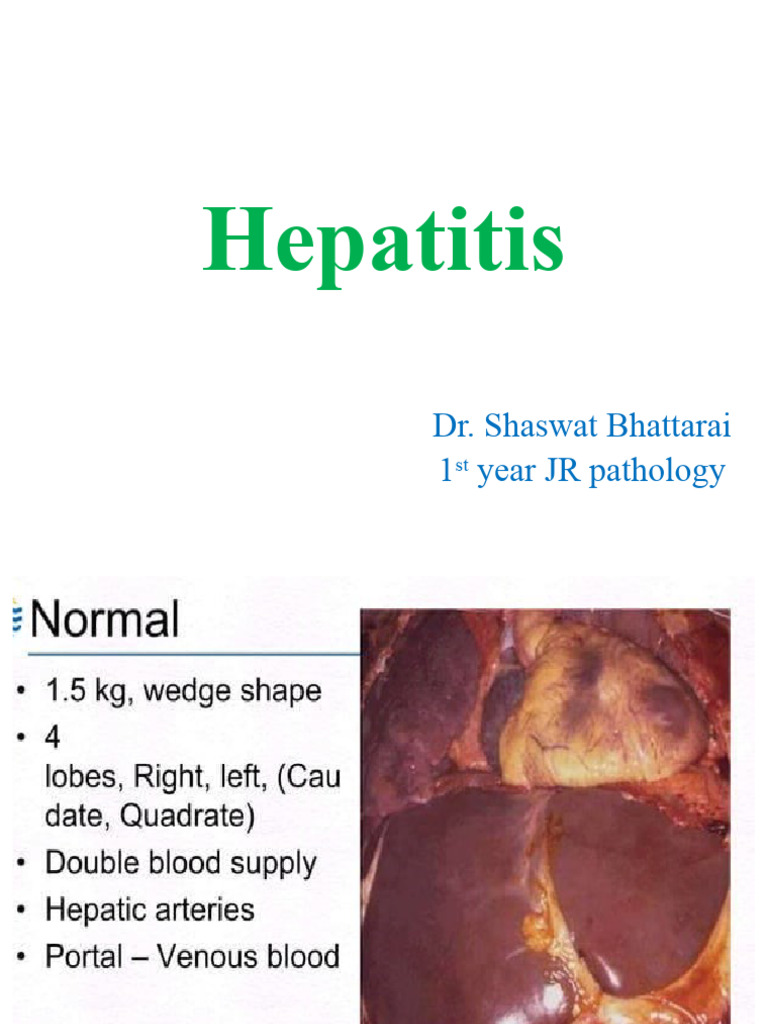 Hepatitis | PDF | Hepatitis | Virus