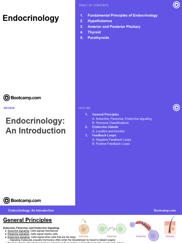Endocrinology | PDF | Endocrine System | Cell Signaling