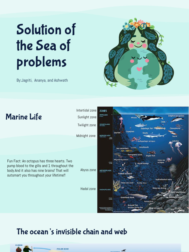 Solution of The Sea of Problems | PDF | Sea | Oceans
