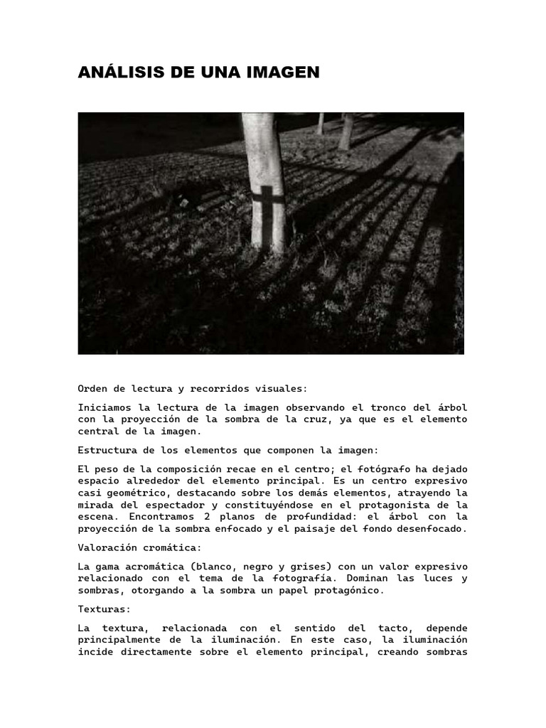 Análisis de Una Imagen | PDF