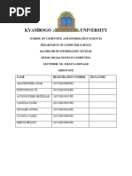 IT Officer Role and Responsibilities | PDF | Information | Behavior