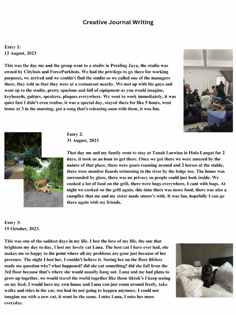 Creative Journal Writing | PDF