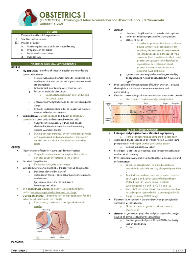 2.04 OBSTETRICS I Physiology of Labor Normal Labor and Abnormal Labor | PDF | Childbirth ...
