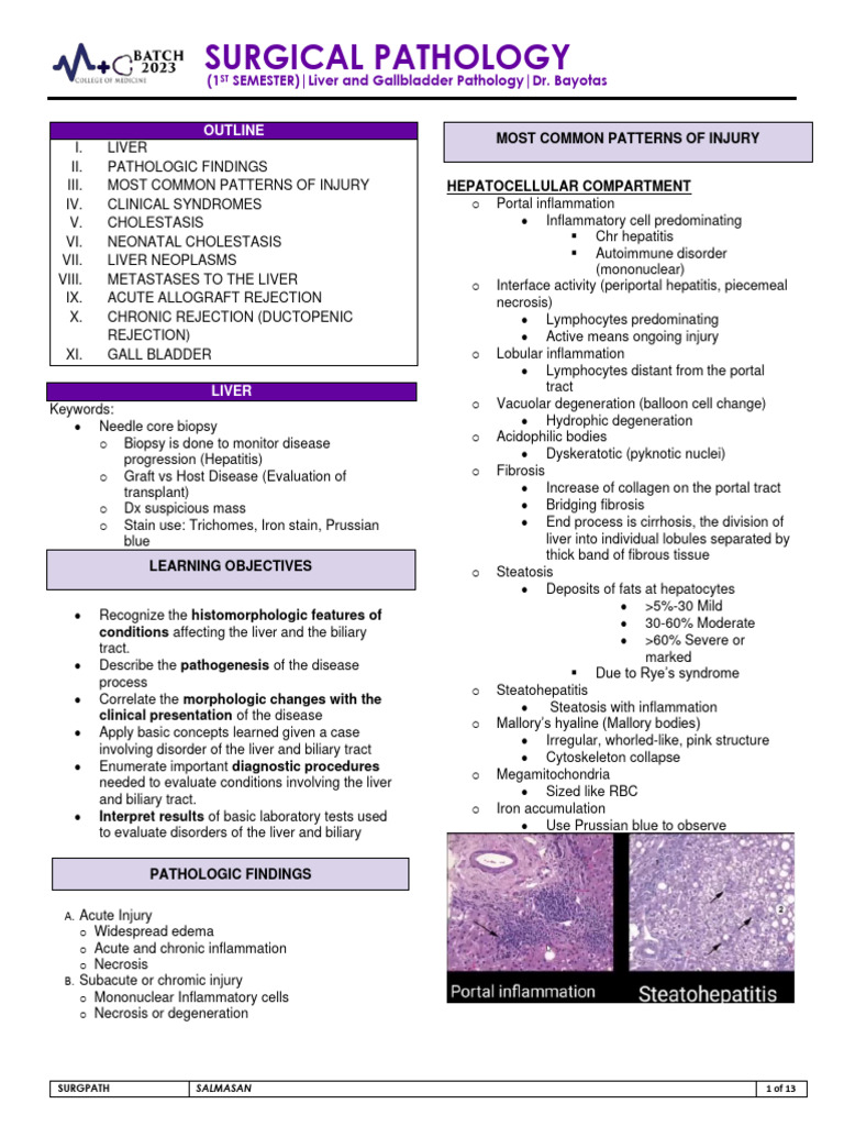 04 SURGICAL PATHOLOGY (Liver and Gallbladder) - (Dr. Bayotas) | PDF ...