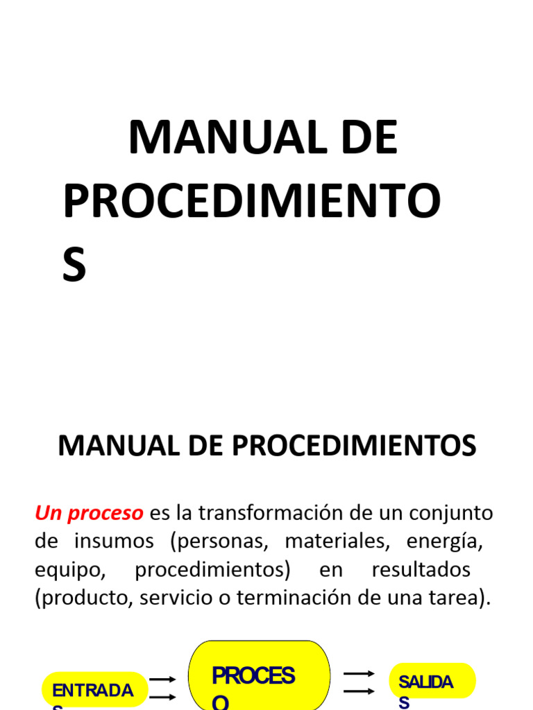 Manual de Procedimientos | PDF | Informática