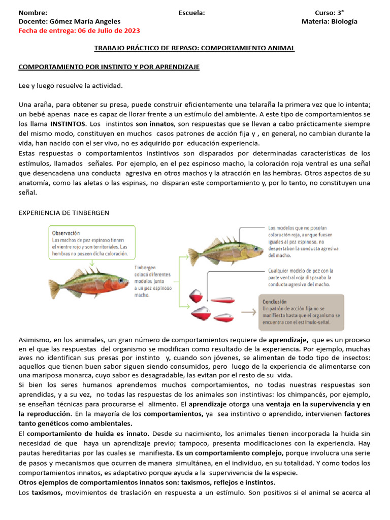TP Repaso - Comportamiento Animal. 3° Año Ees N°12 Prof. Gómez M ...