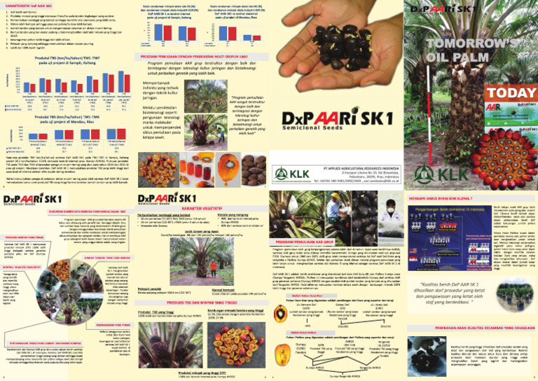 Brosur DXP AARI SK1 | PDF