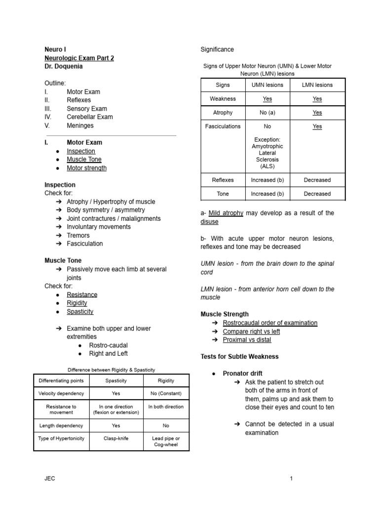 Neuro Exam Part II | PDF | Anatomical Terms Of Motion | Human Anatomy