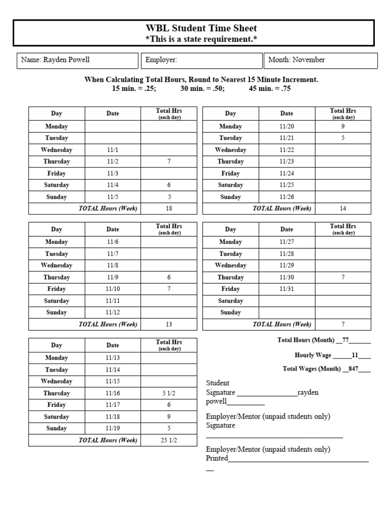 ahs wbl time sheet | PDF