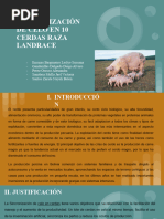 Fisiología del Ciclo Estral de la Cerda | PDF | Sistema endocrino ...