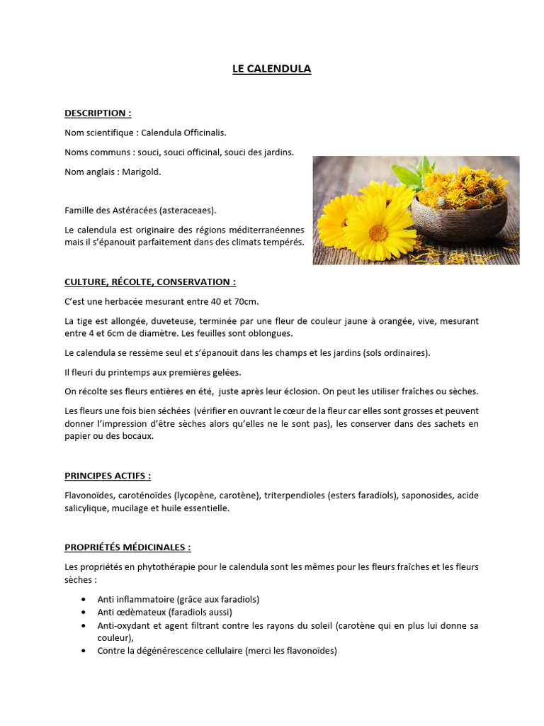 Fiche Calendula | PDF