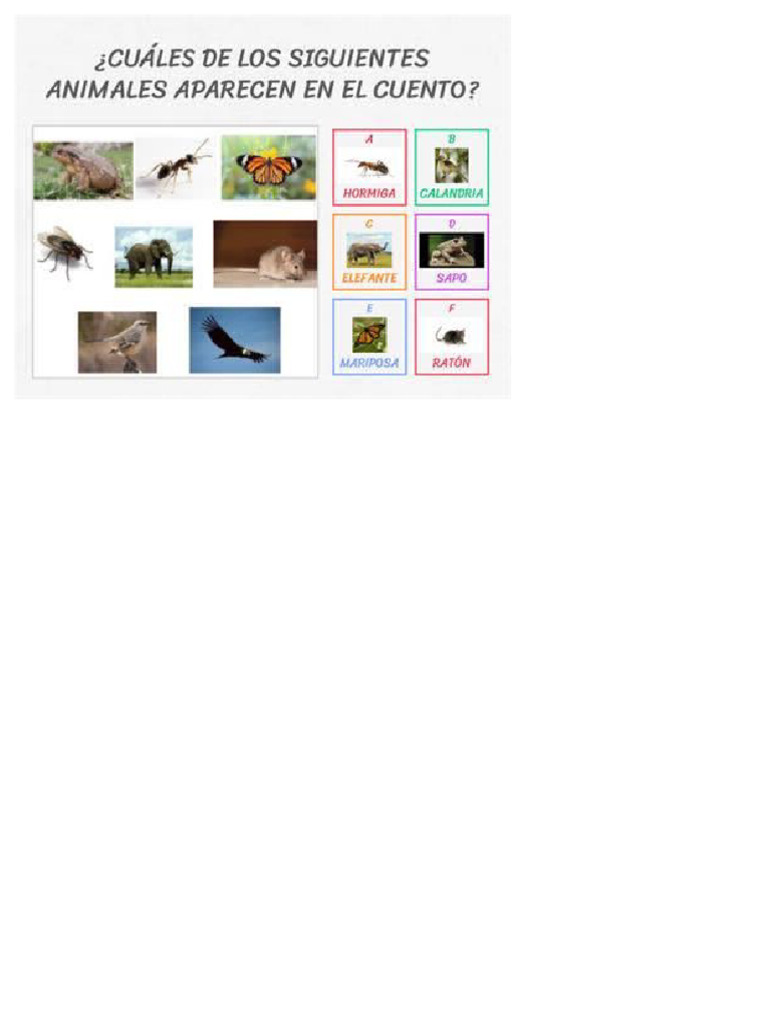 El Vuelo Del Sapo Act De Articulacion Con Tercero Pdf