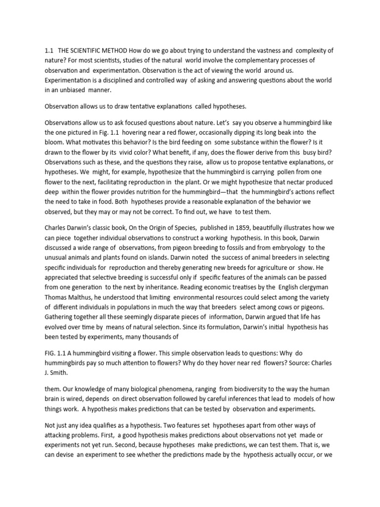 The Scientific Method | PDF | Experiment | Hypothesis