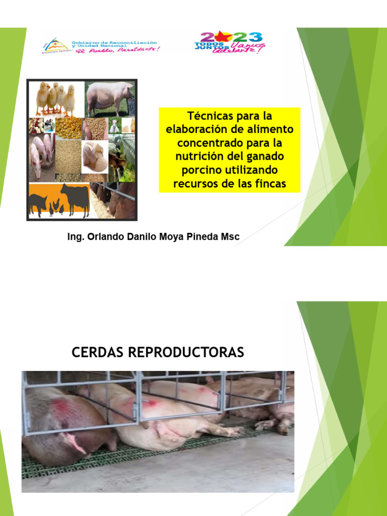 Libre Pastoreo | PDF