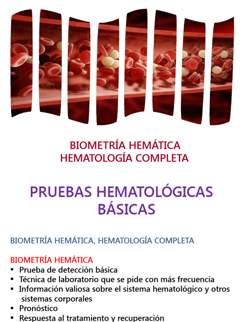 Clase de Biometría Hemática Hematologia Completa | PDF | Sangre ...