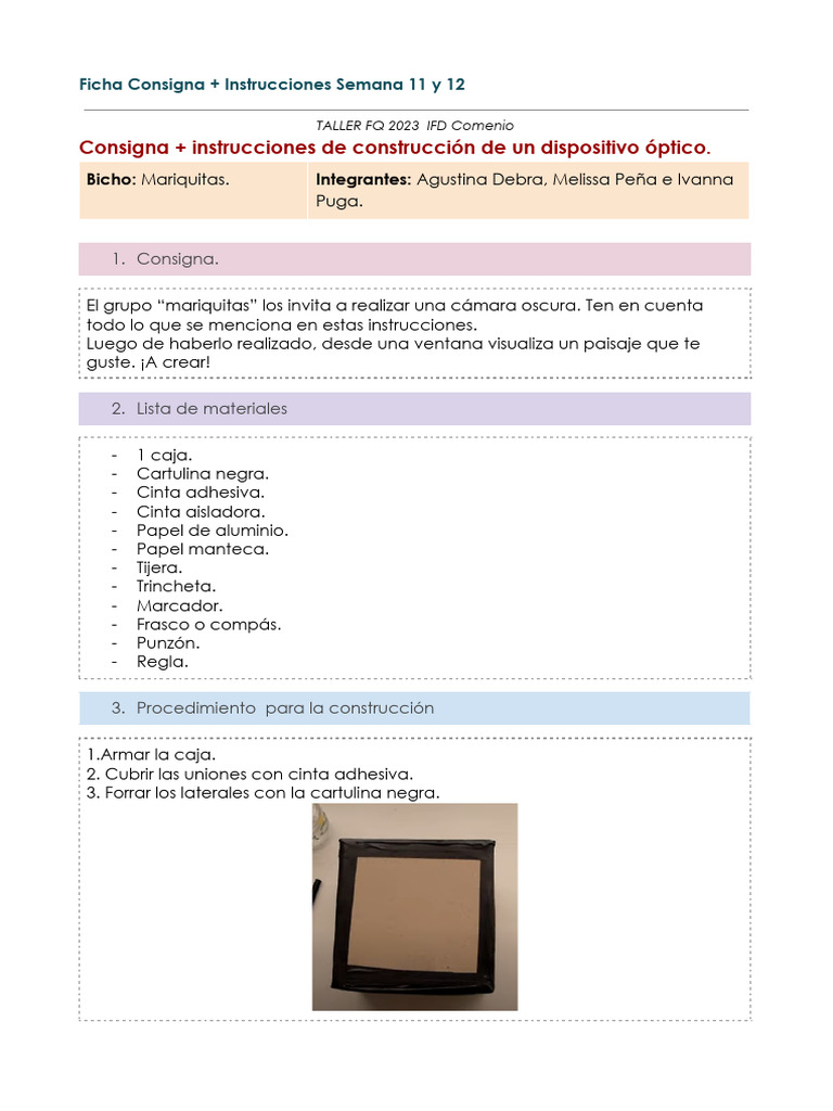 Ficha Consigna - Instrucciones Semana 11 y 12 - Mariquitas | PDF