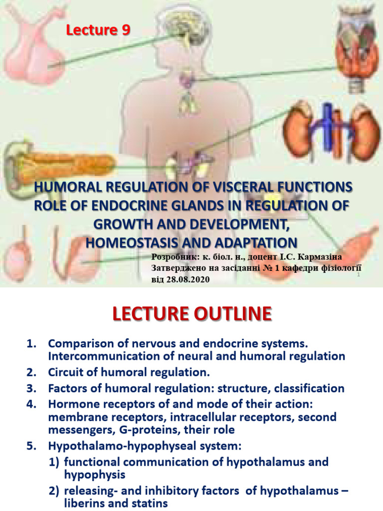 Humoral Regulation & Endocrine Functions | PDF | Hypothalamus | Cortisol