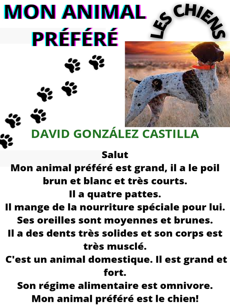 Mon Animal Préféré | PDF