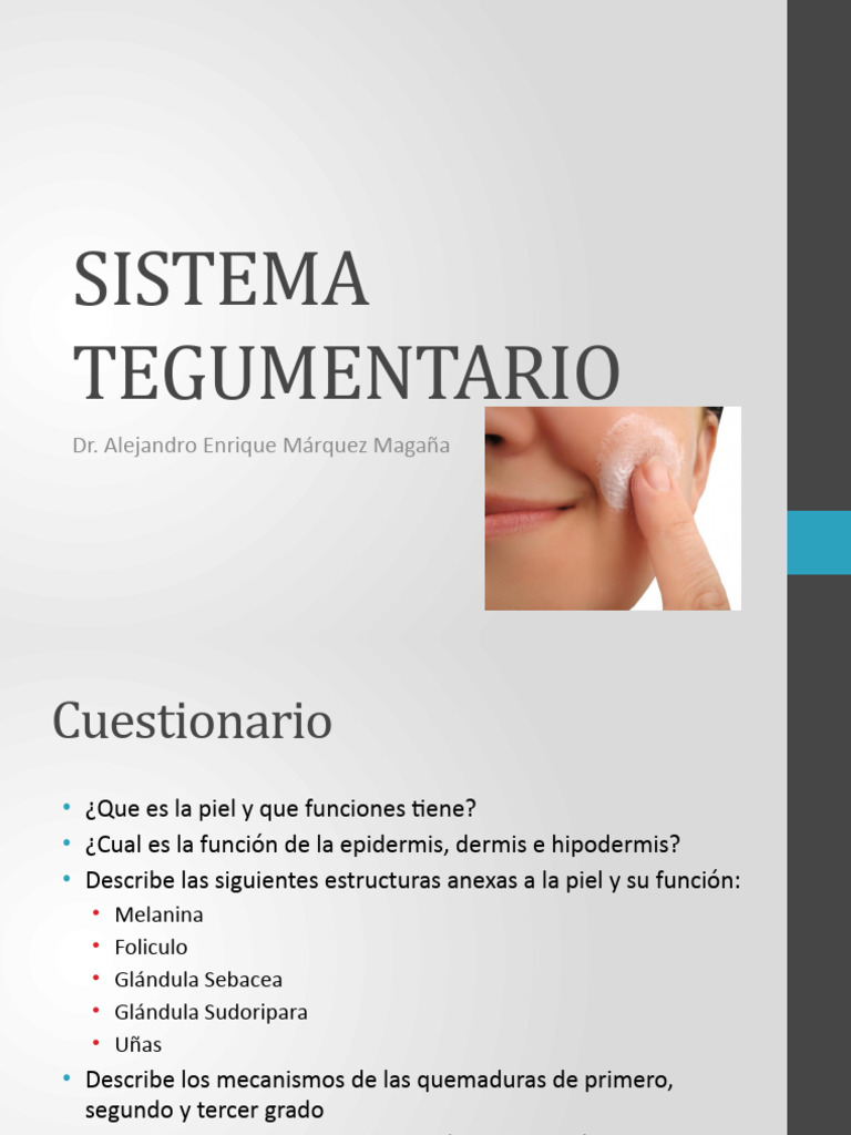 Sistema Tegumentario | Descargar gratis PDF | Piel | Epidermis