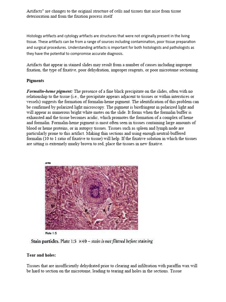 Artifacts | PDF | Histology | Fixation (Histology)