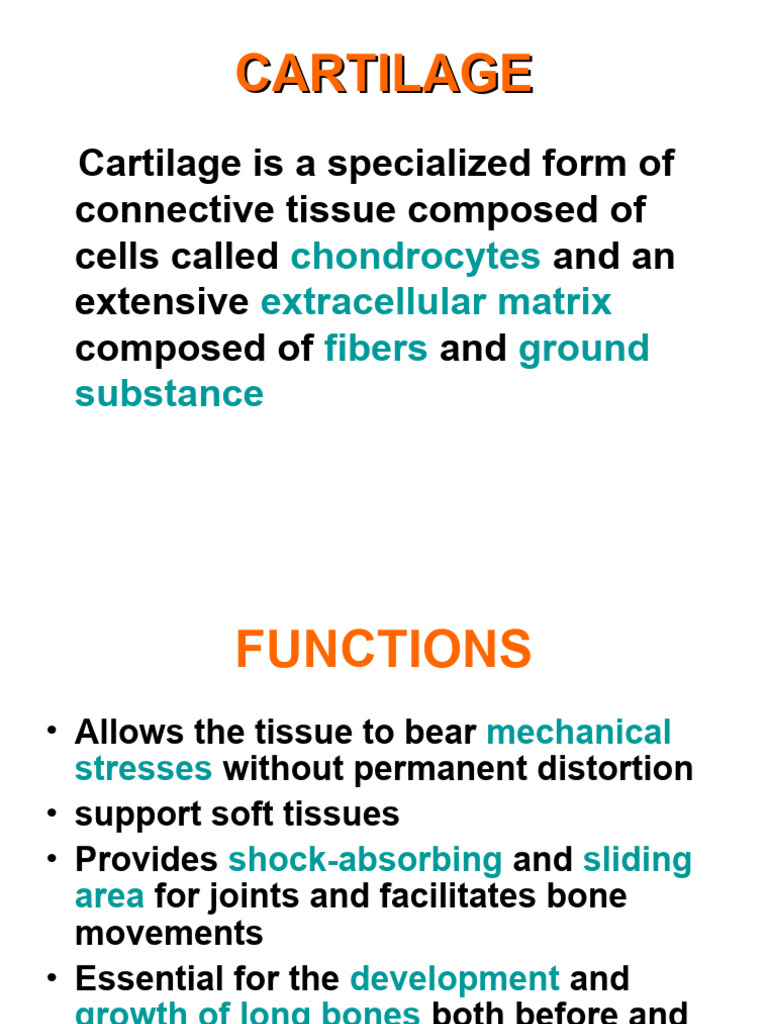 Cartilage histology | PDF | Cartilage | Connective Tissue