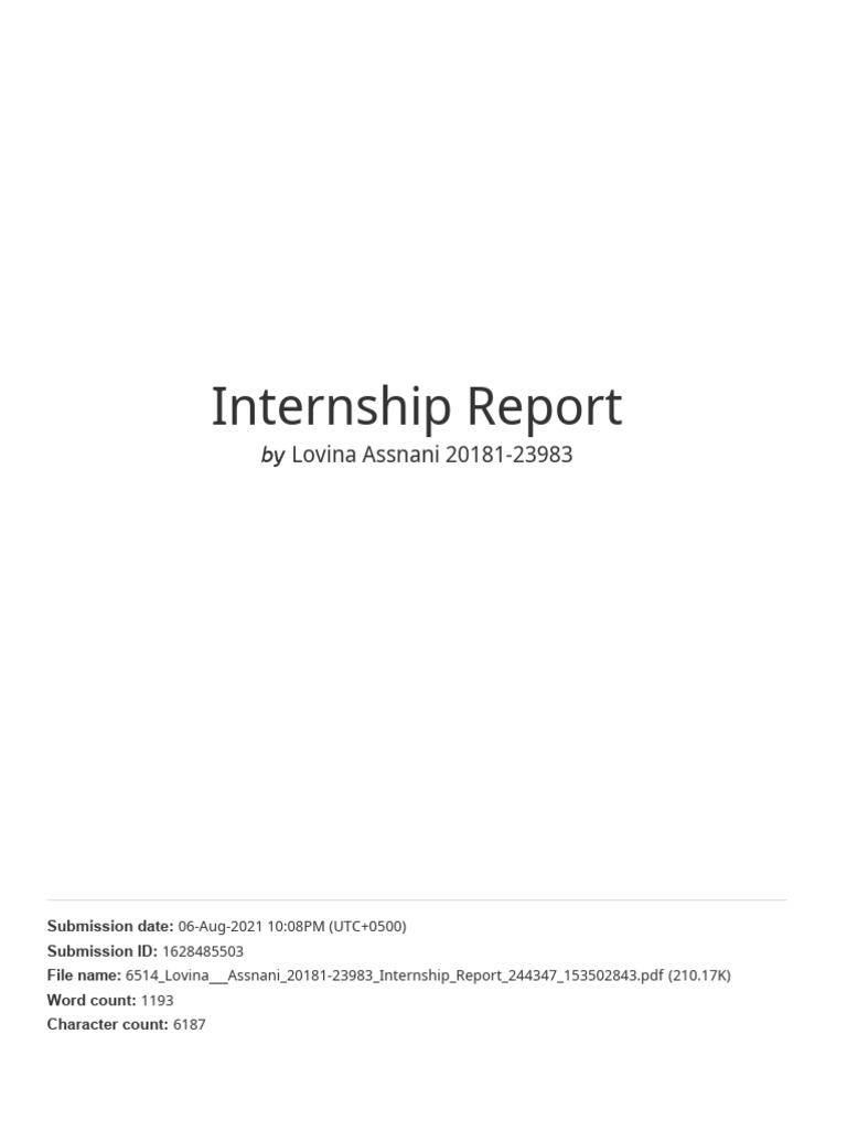 Internship Report Lovina Assnani | PDF | Audit | Internal Audit