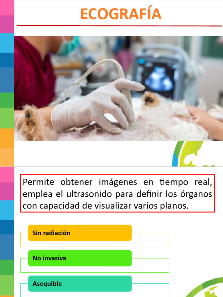 Ecografia | Descargar gratis PDF | Ultrasonido | Ultrasonido médico