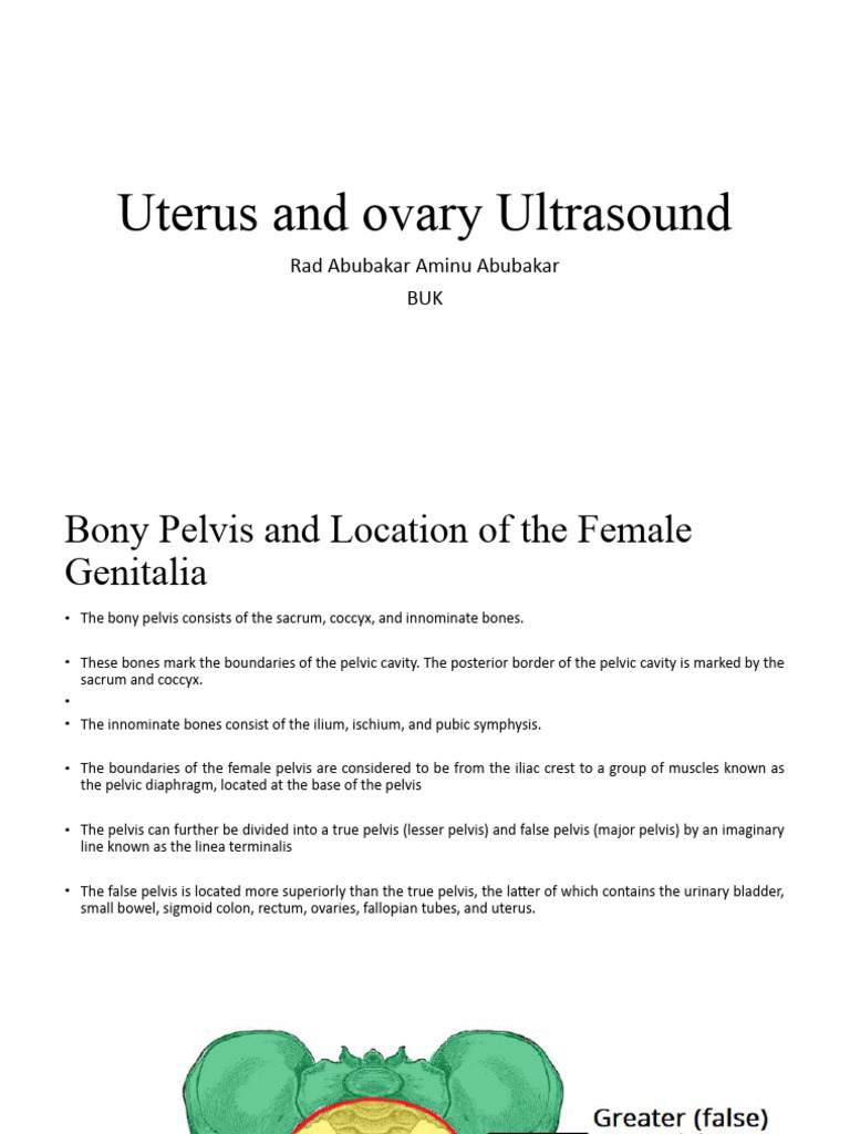 Uterus and Ovary Ultrasound | PDF | Uterus | Ovary