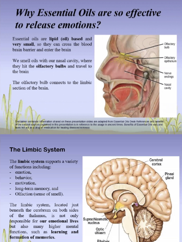 Emotional Release | PDF