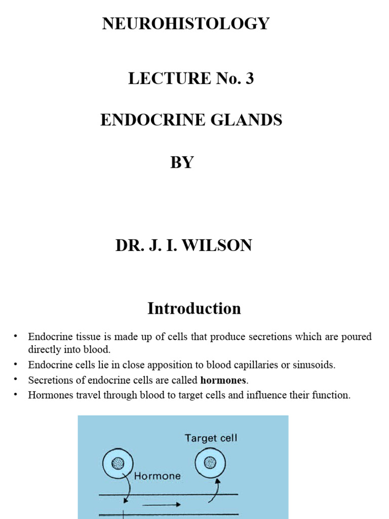Neurohistology Lecture 3 Endocrine System | PDF | Pituitary Gland | Adrenal Gland