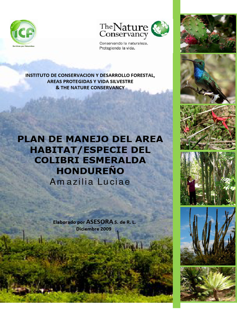 Plan de Manejo del Colibrí Esmeralda | PDF | Los bosques | Honduras