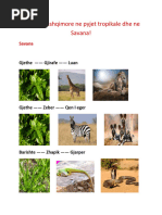 Biologji Riprodhimi Te Shtazët L.H | PDF