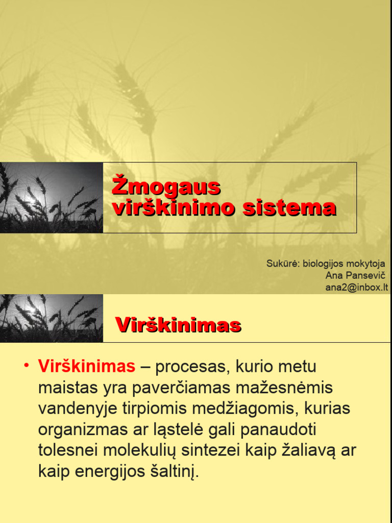 Virskinimo Sistema | PDF