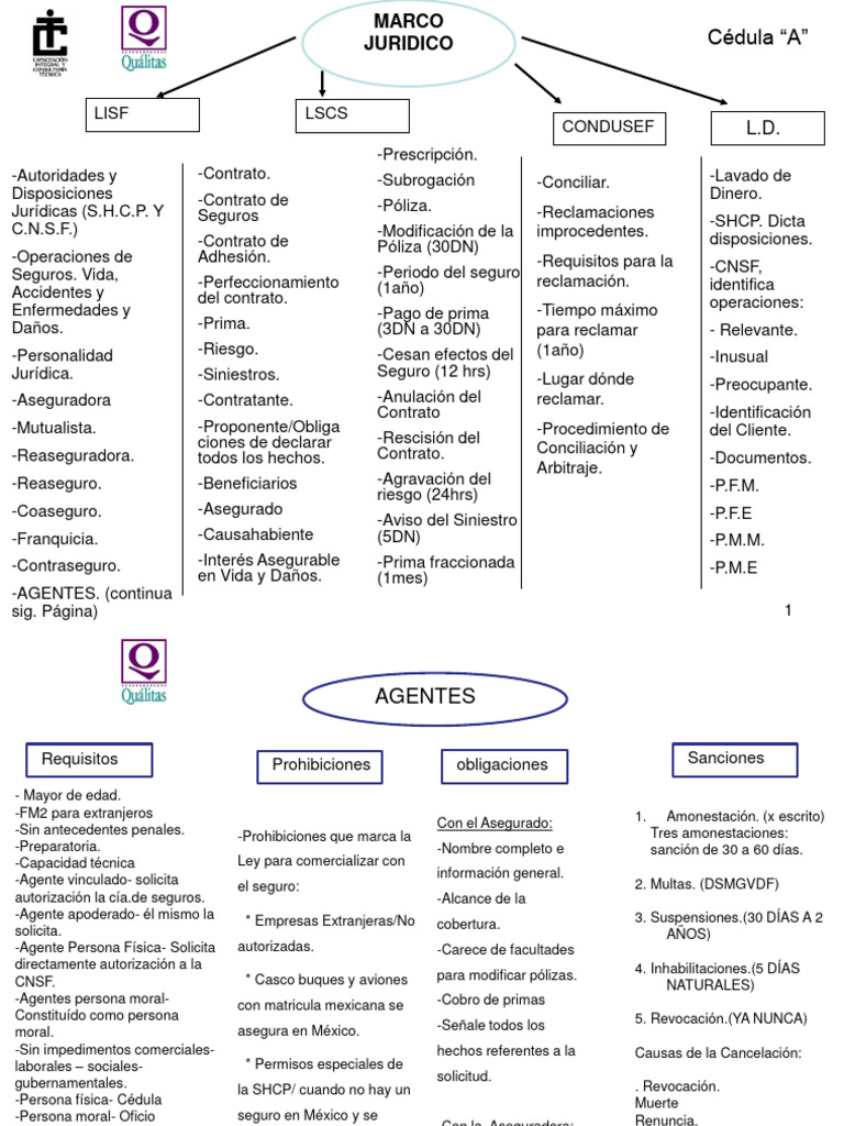 Mapas Conceptuales | Descargar gratis PDF | Póliza de seguros | Seguro