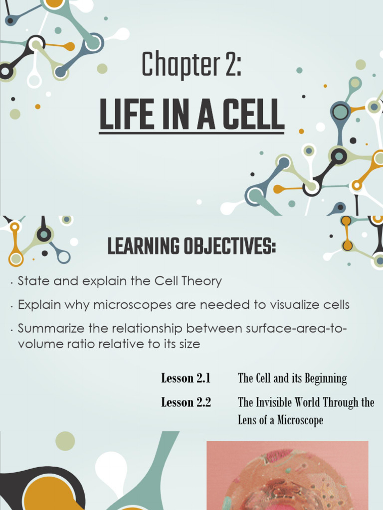 D. Chapter 2 - Life in A Cell (Lesson 2.1 and 2.2) | PDF | Microscope ...
