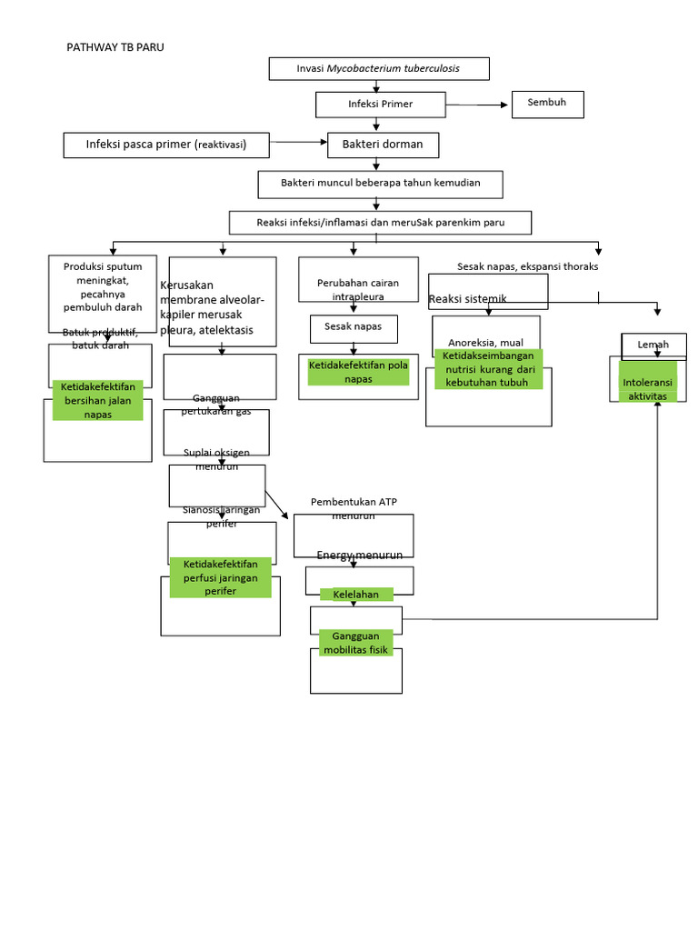 Pathway TB Paru | PDF