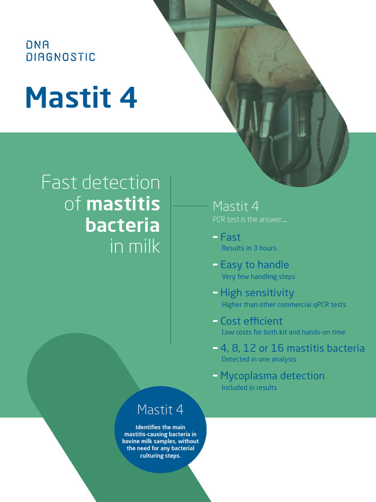 Fast Mastitis Detection with Mastit 4 | PDF | Real Time Polymerase ...