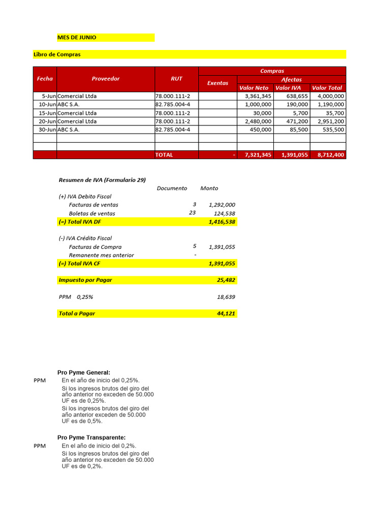 Ejemplo Libro de Compra Venta +Resumen Formulario 29 | PDF | Impuesto al valor agregado | Impuestos